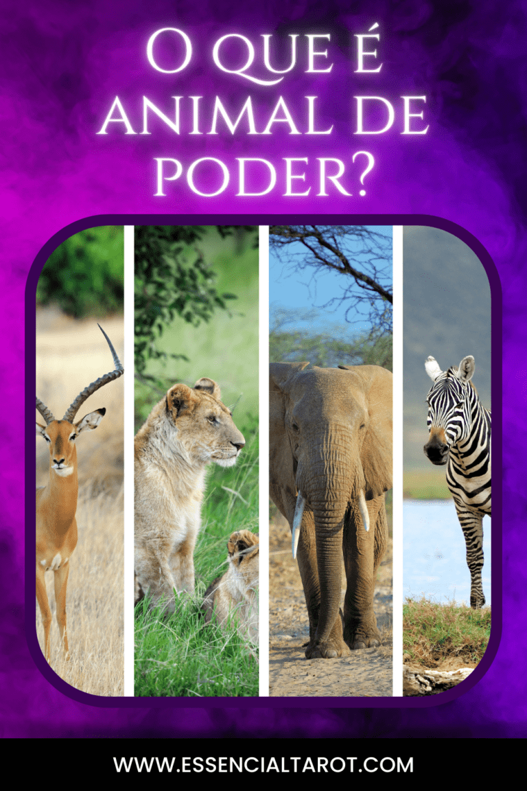 O que é animal de poder? - Essencial Tarot